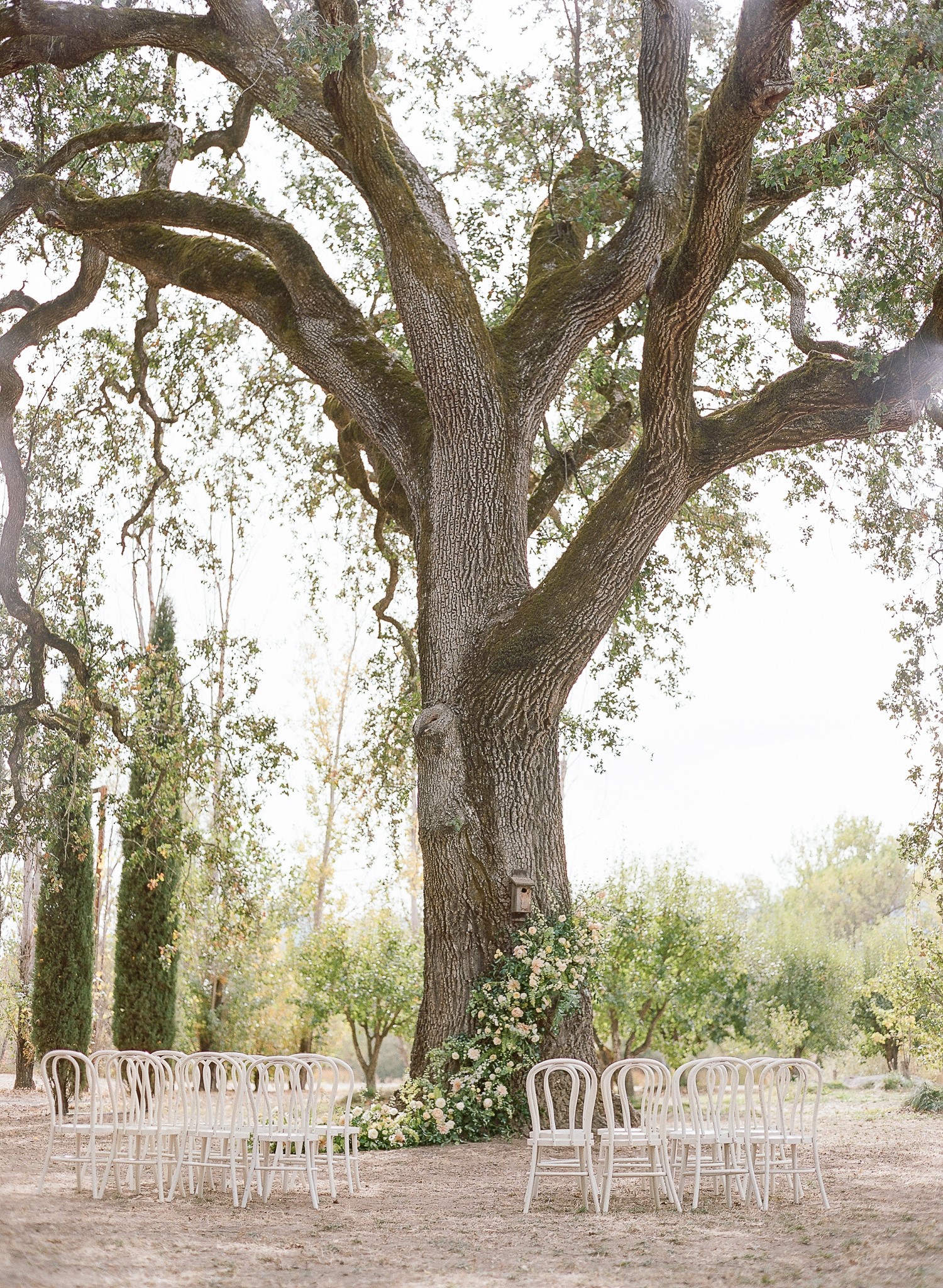 Dusty Blue & Yellow Spring Wedding Inspiration at Campovida - Chic ...